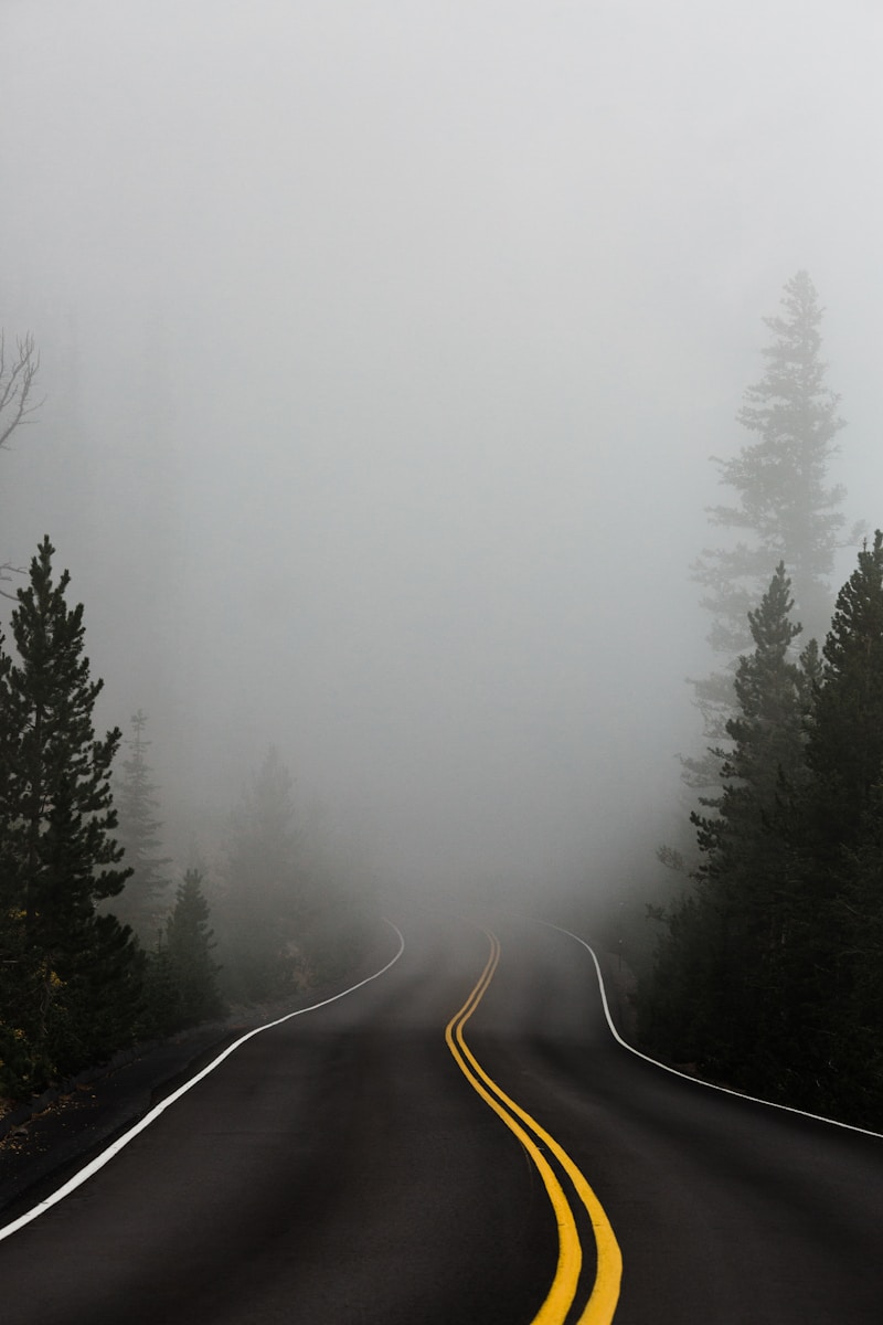Fog advisory in effect across parts of Northwestern Ontario - Your Kenora