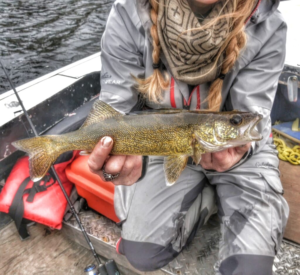 More than a fish fry: Why Walleye remains Ontario's favourite catch ...
